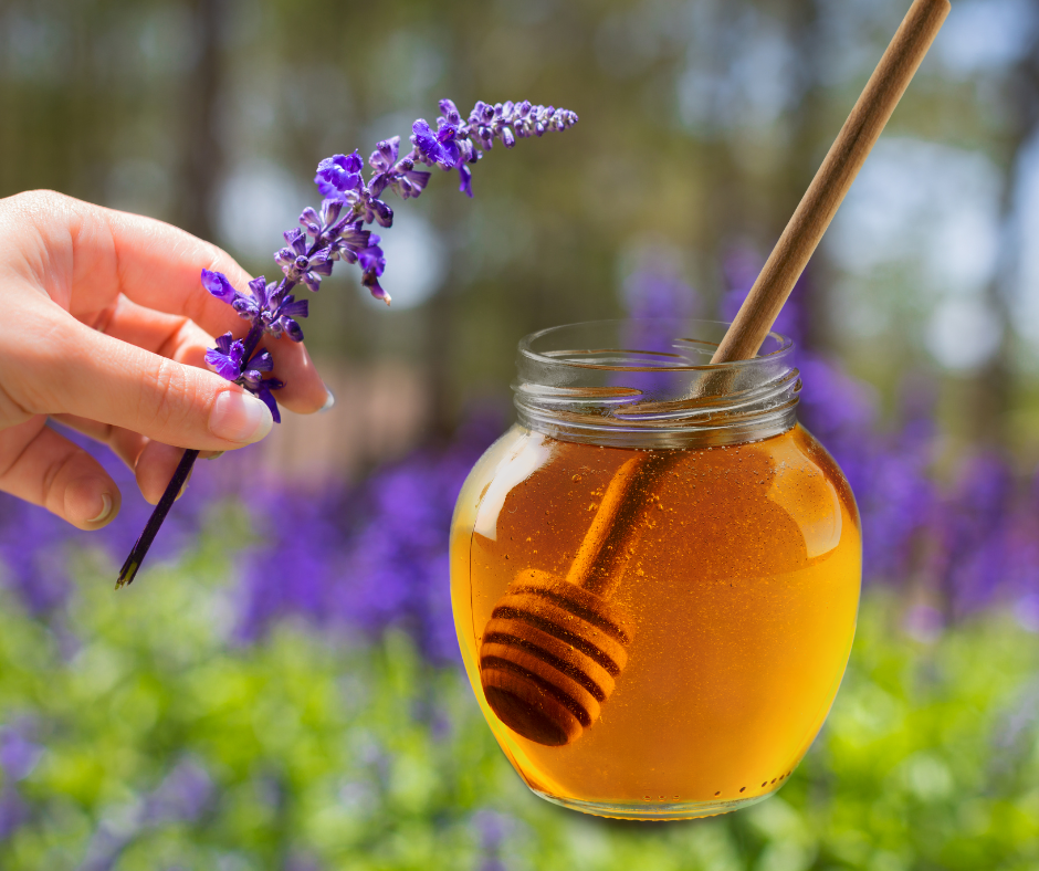 Daisy Latte | Cozy Coffee Station